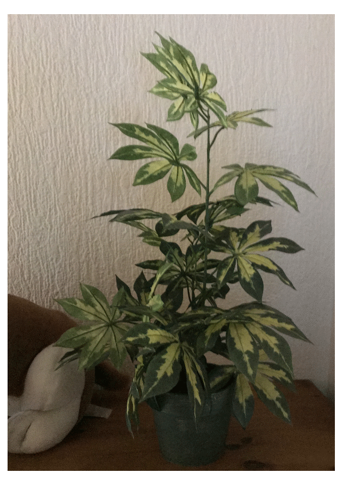 Why Mentoring Is Important